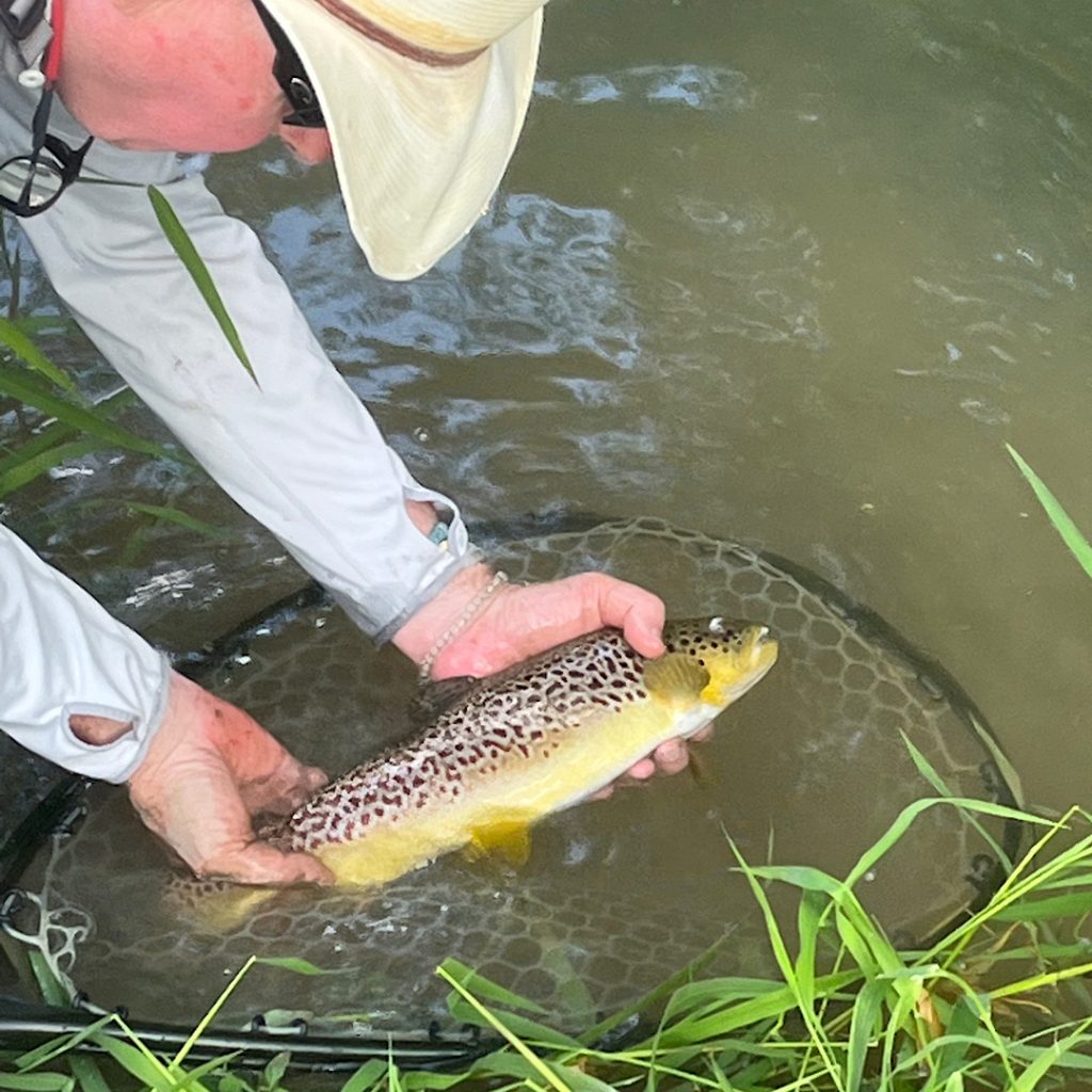 Bucket List: Experiences Matter More - Strategic Referral Team